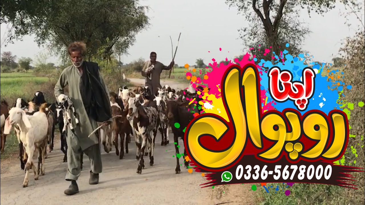 Hidden Beauty Of Roopwal Village / Chakwal / Apna Roopwal / - YouTube