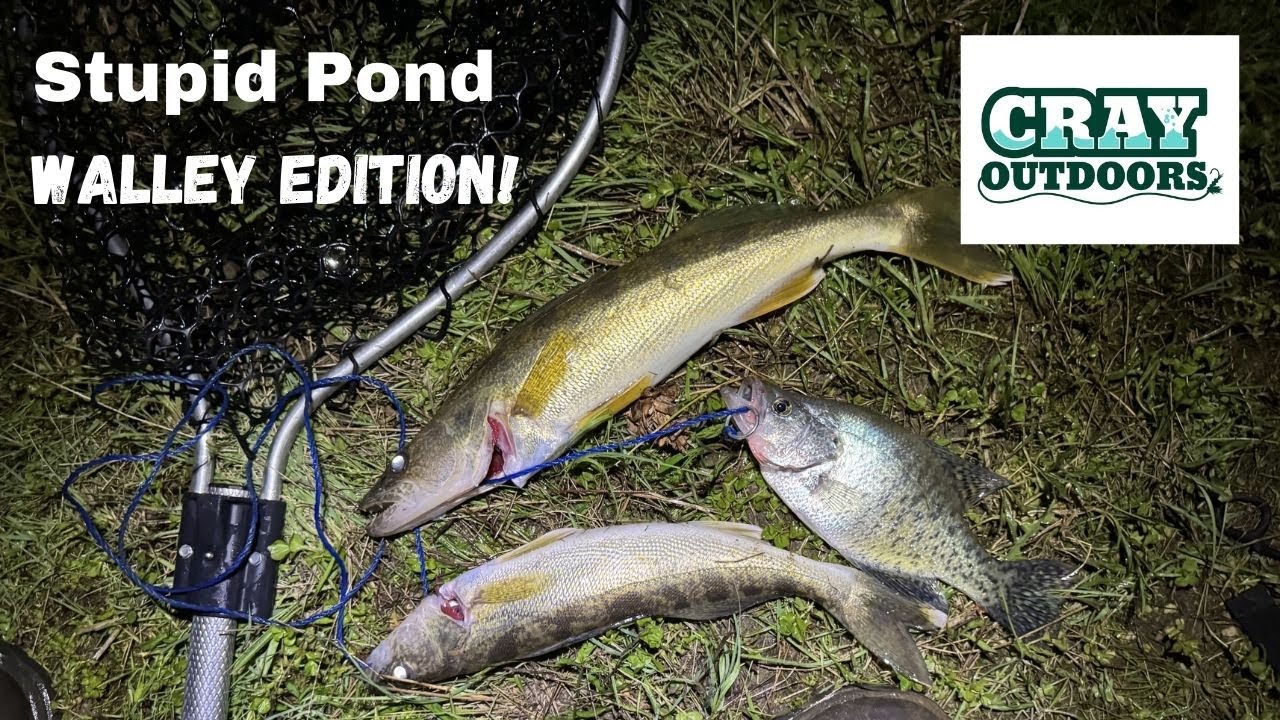 Walleye Fishing a Small Pond! (and crappie!) - YouTube
