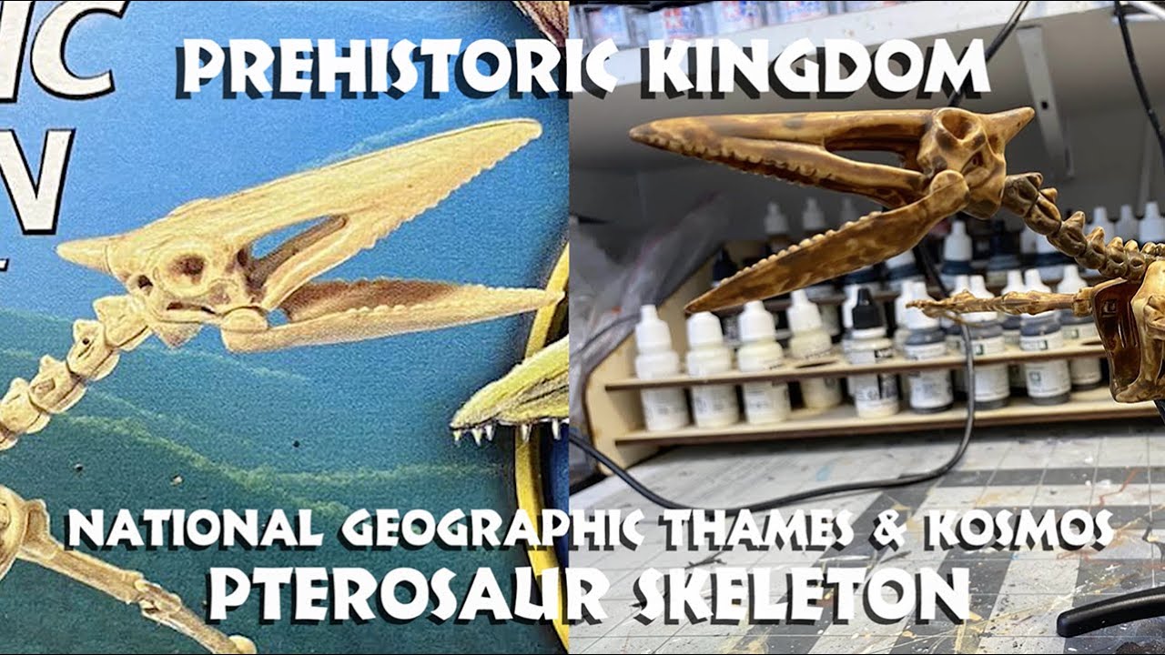 National Geographic Thames and Kosmos Pterosaur Skeleton - YouTube