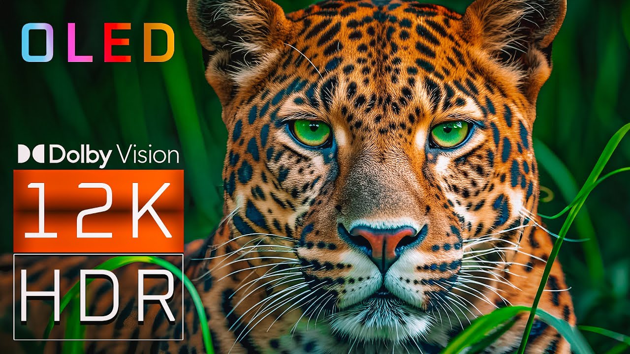 CRYSTAL CLEAR 12K HDR DOLBY VISION™ 240 FPS | ULTIMATE NATURE & ANIMAL ...