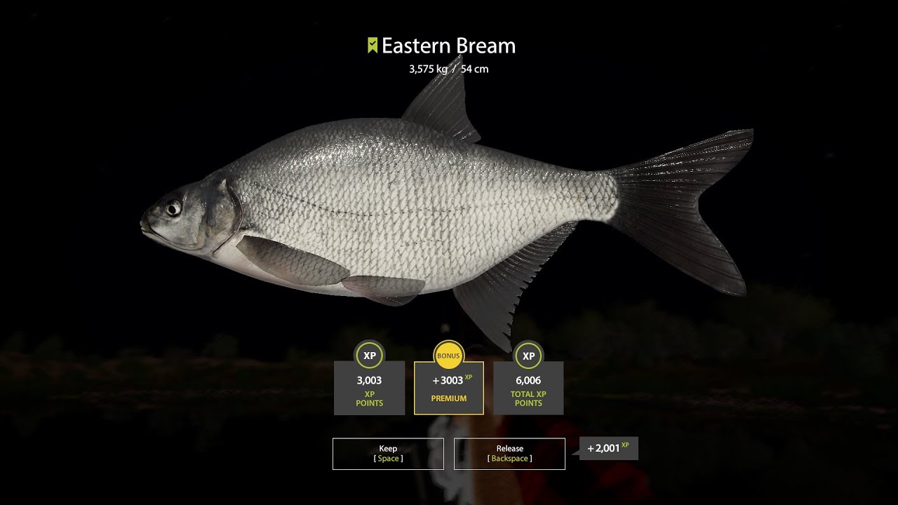 Russian Fishing 4 RF4 Akhtuba River Eastern Bream + Trophy Bream - YouTube
