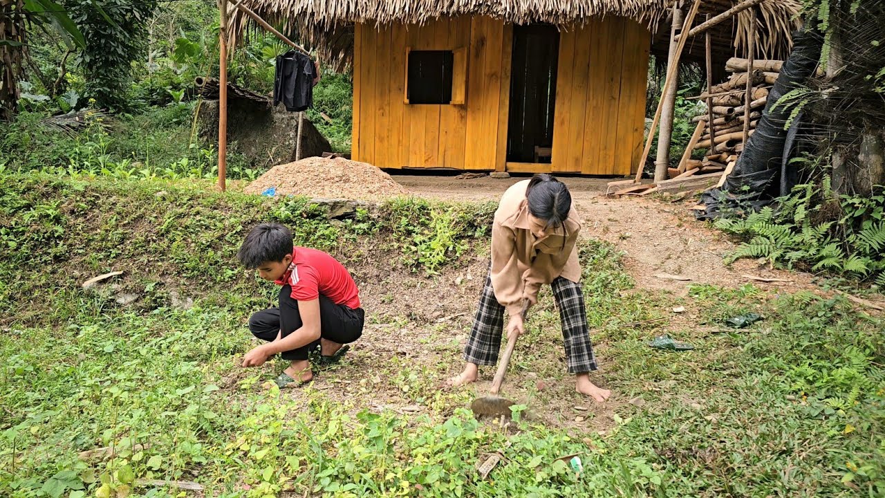 The homeless boy and the poor girl picked vegetables, sold pumpkins and ...