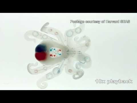 Pneumatic octopus is a robotic first - YouTube