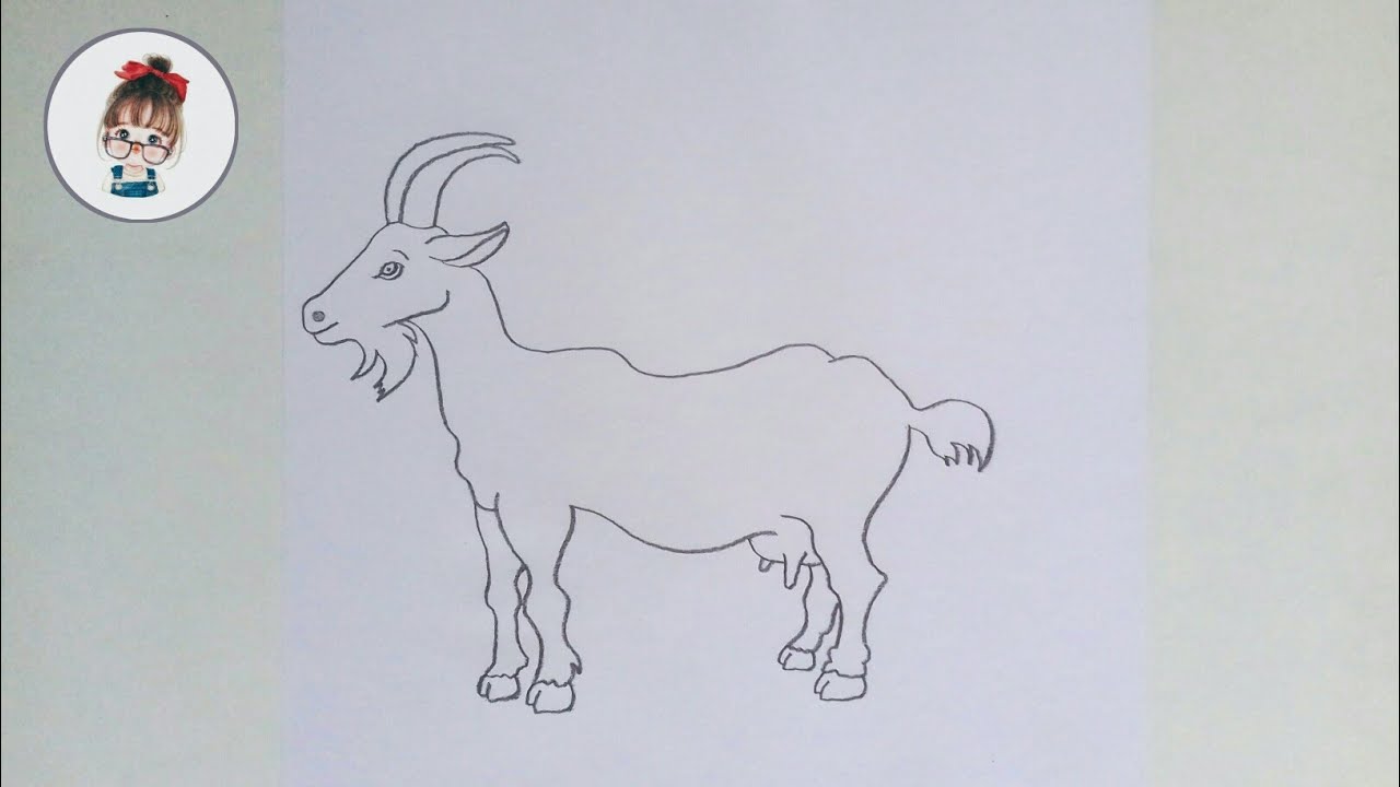how to draw goat easy | easy goat sketch @MTCRDrawing - YouTube