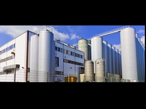 PRESENTACION PLAMI - YouTube