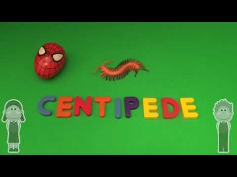 Spider-Man Surprise Egg Word Jumble! Spelling Creepy Crawlers! Lesson 1 Toys for Kids!