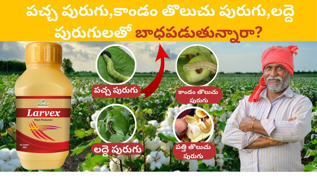 LARVEX | Controls larval pests | Khethari AgriTech - YouTube