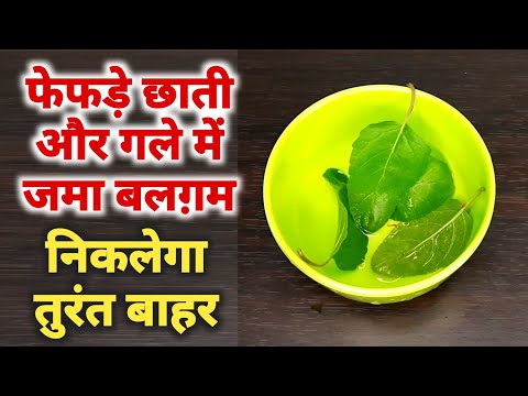बस 3 बार में फेफड़े छाती गले में जमा हुआ कफ़ बलगम तुरंत बाहर दोबारा कभी नहीं होगा Cough Remedy Perfect