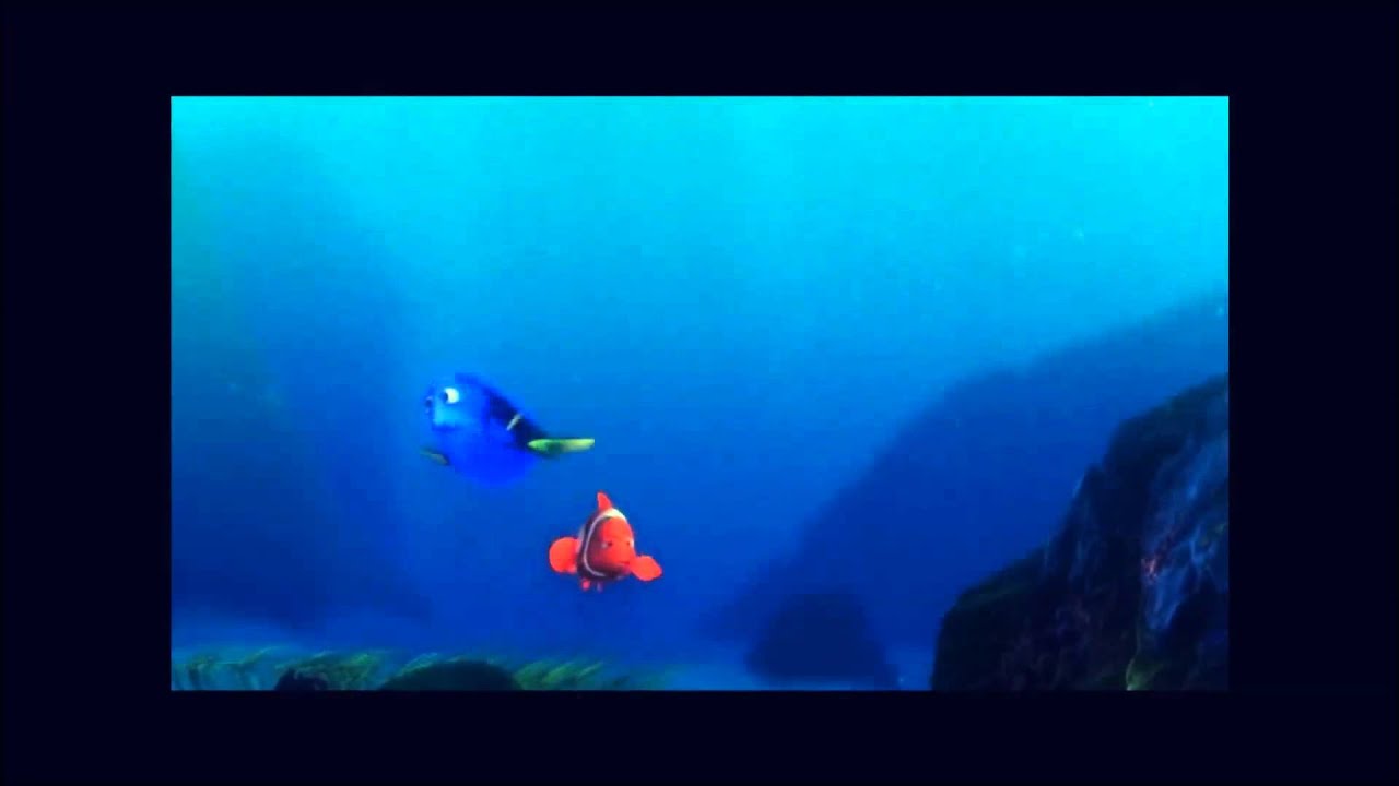 FINDING NEMO ADDRESS - YouTube
