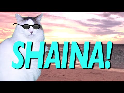 HAPPY BIRTHDAY SHAINA! - EPIC CAT Happy Birthday Song - YouTube