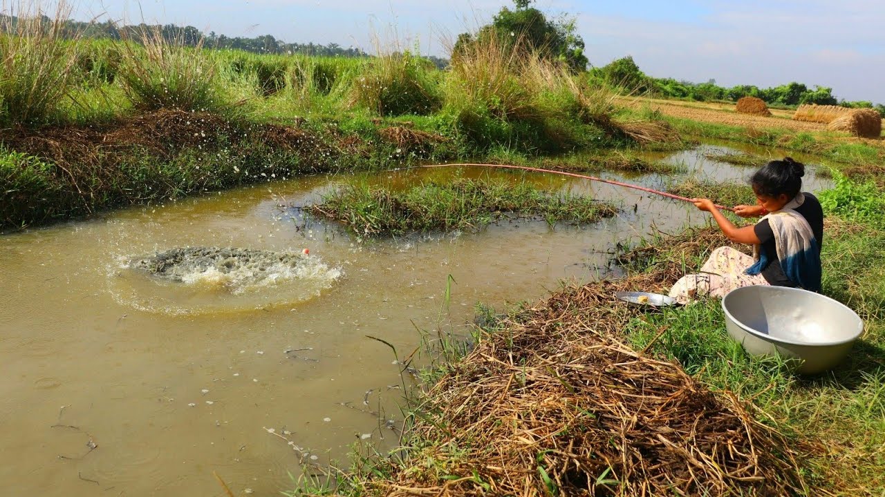 Fishing Video || Wonderful scene of beautiful girl fishing in village ...