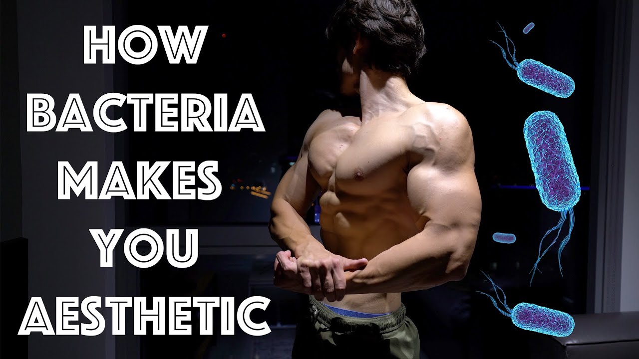 PUSH DAY Motivation | How Your MICROBIOME Effects Fitness - YouTube