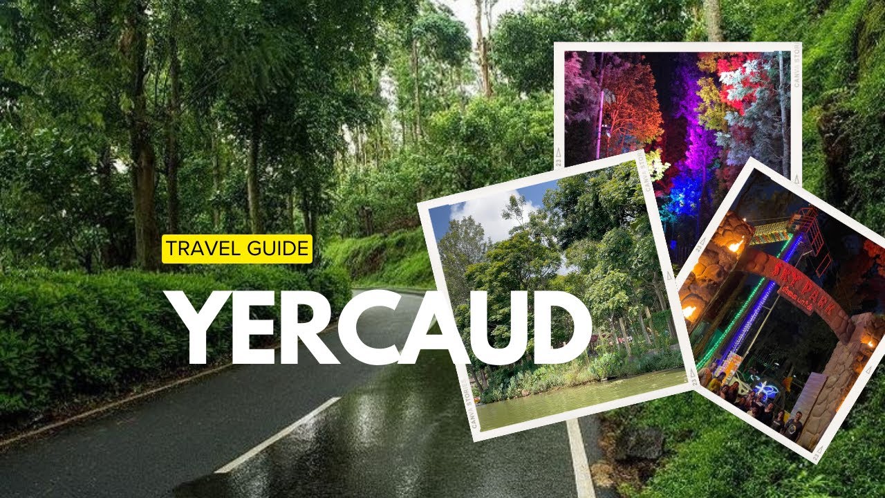 Yercaud Road Trip | 3D 2N | Bangalore to Yercaud | Complete guide ...