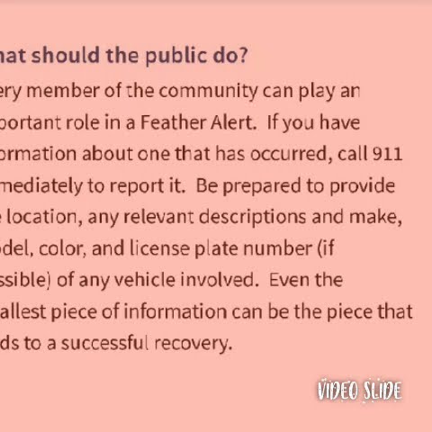 what is a Feather Alert - YouTube