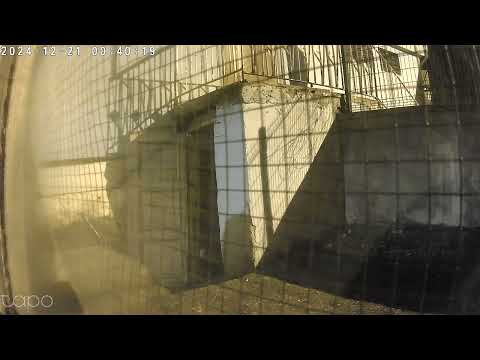 Halil ELŞEYHSALEH akrabaları bu videonun akşamı üzerimizde eğlenip son ses müzik açıp bu saatlerde