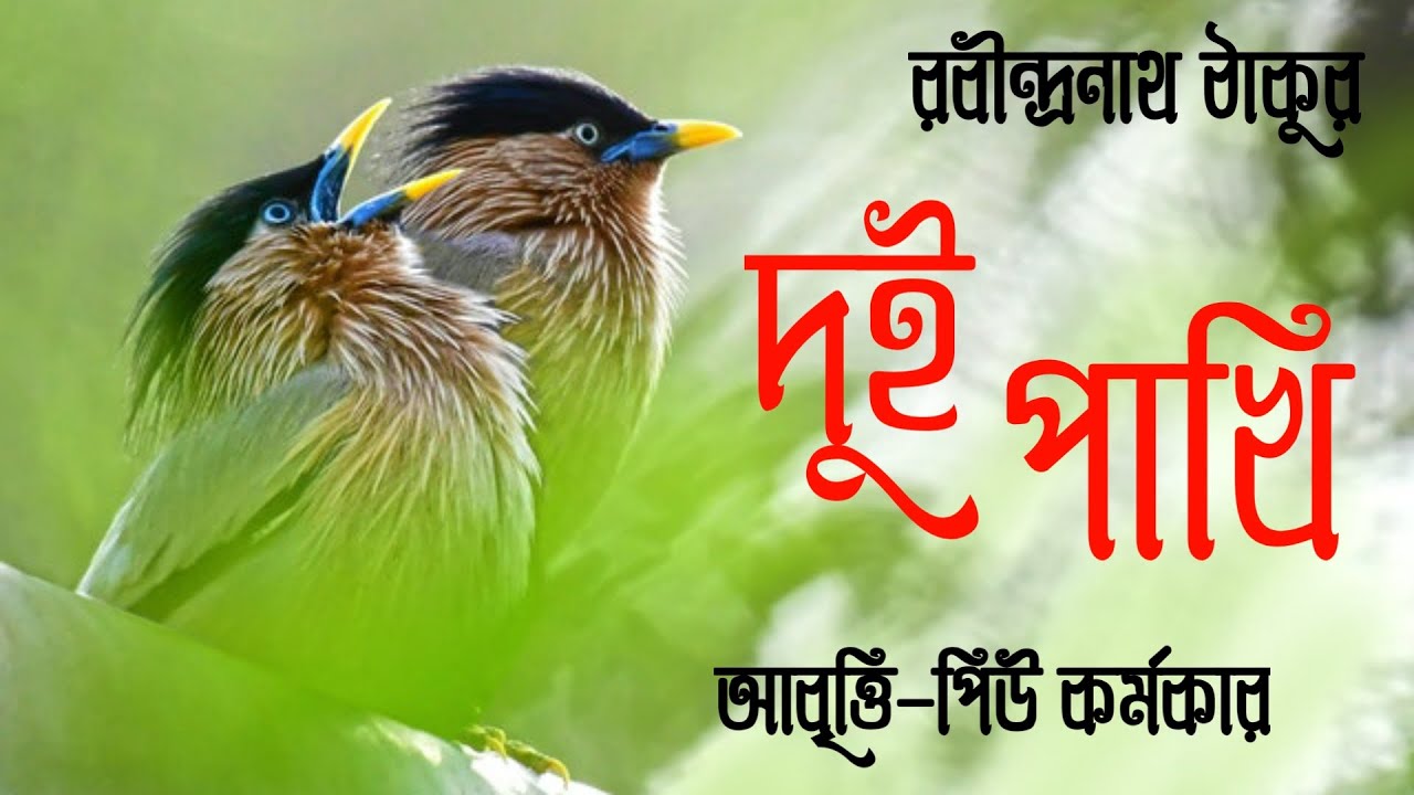 Dui Pakhi | Rabindranath Thakur | Rabindra kobita abritti - YouTube