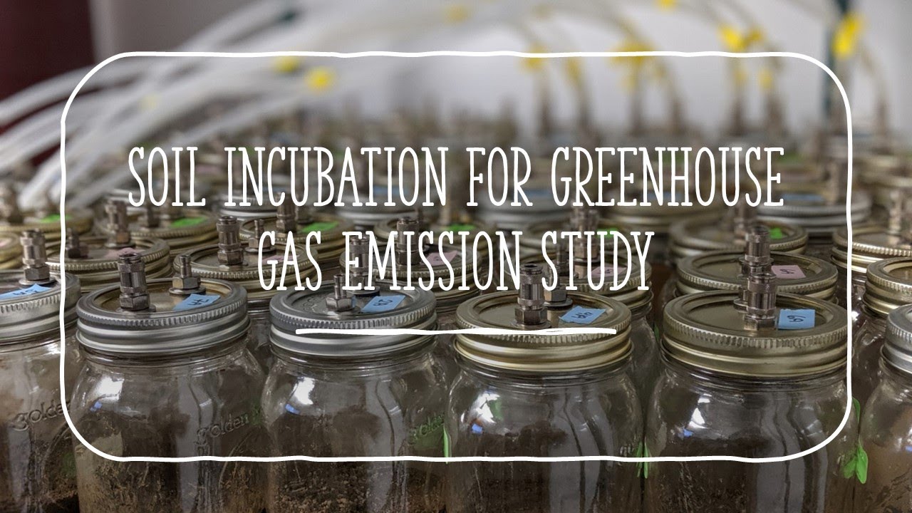 Soil Incubation for Greenhouse gas emission study - YouTube