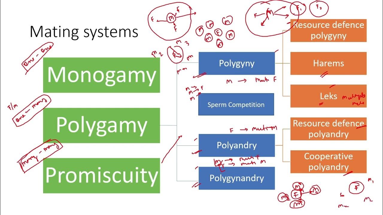 Breeding ecology : Mating systems (GATE EY : Ecology and Evolution ...