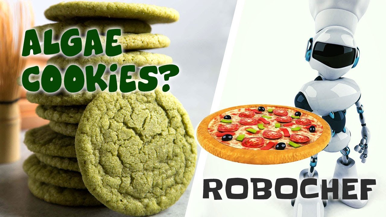ALGAE Cookies Anyone? Robots can COOK! GITEX Future Stars 2019, Dubai ...