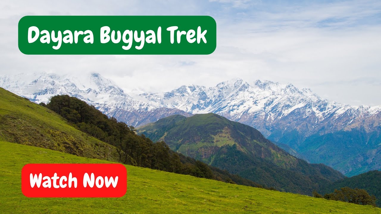 Dayara Bugyal Trek |Beginner high altitude trek |Himalayan Trek ...