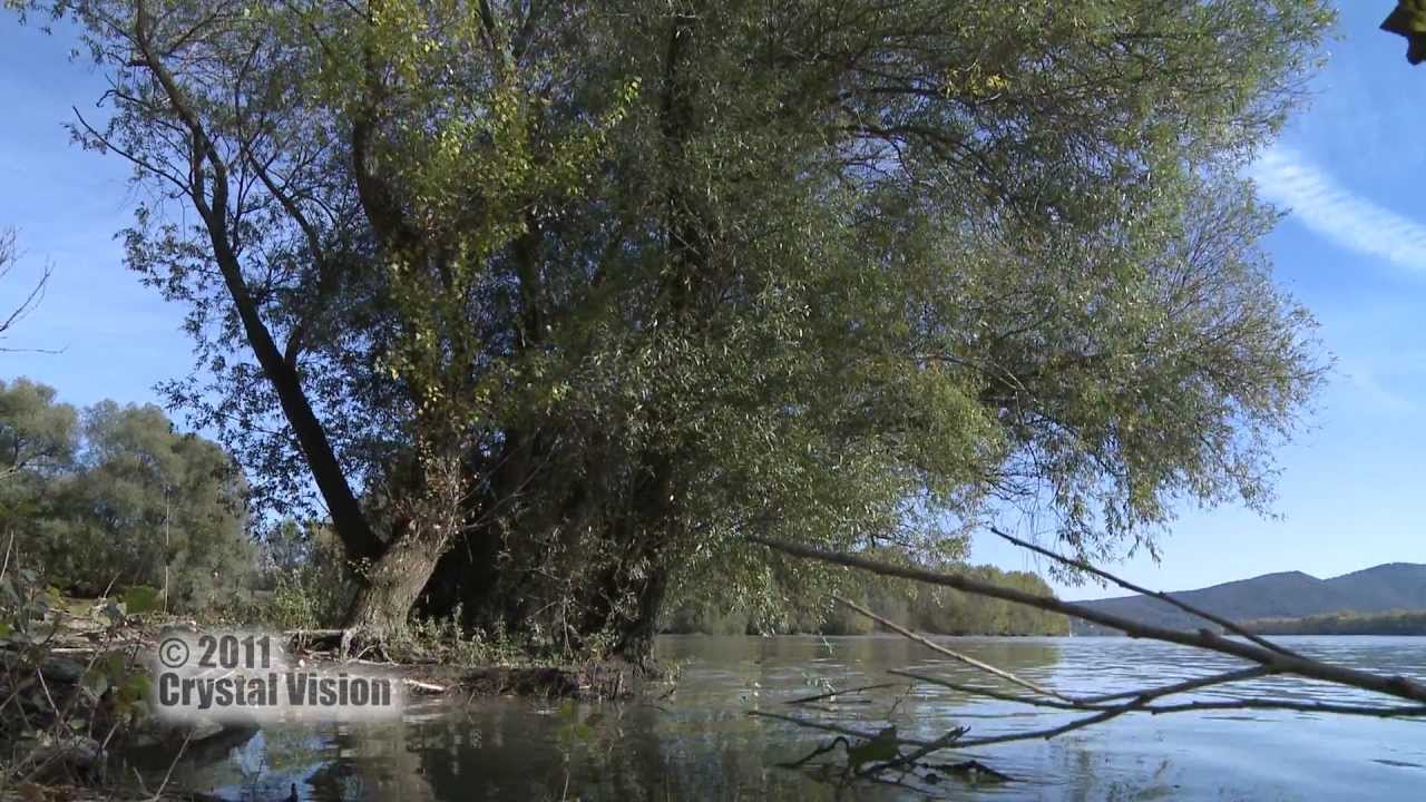 Sútok riek Dunaj a Ipeľ (Chľaba) - YouTube