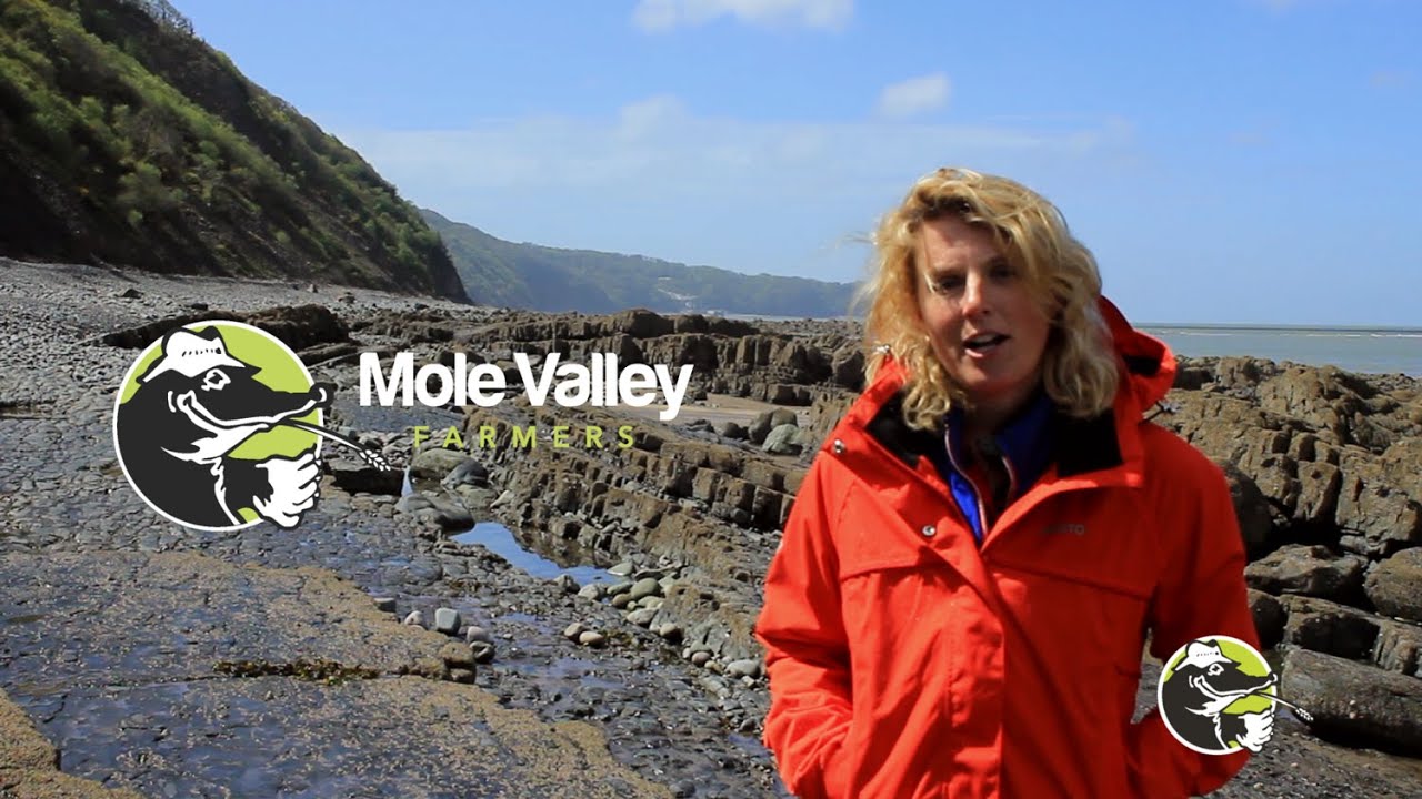 The Island Project - Emma Massingale | Mole Valley Farmers - YouTube