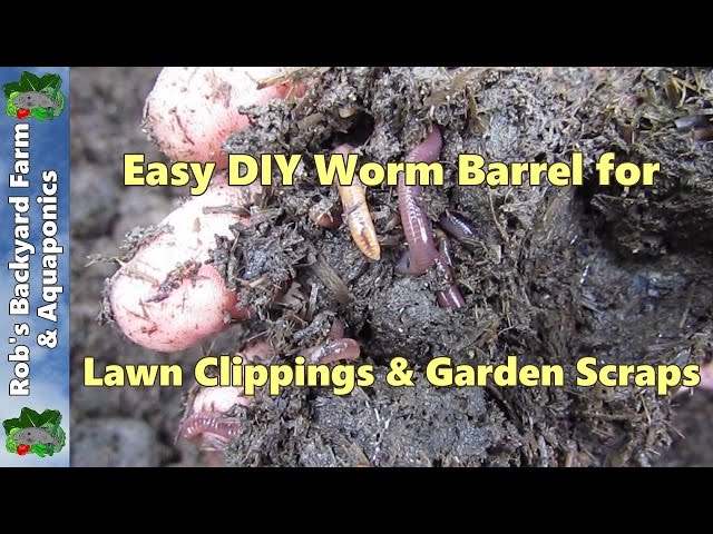 Barrel With Worms Gardening