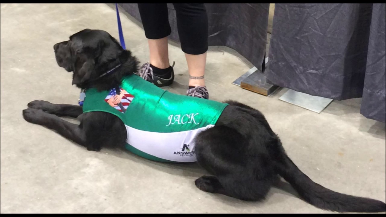 DockDogs 2015 Worlds All In - YouTube