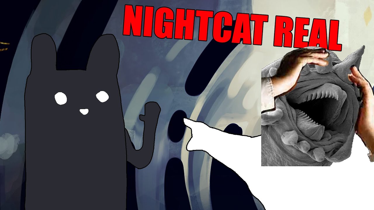 NIGHTCAT REAL | Rain World : The Watcher Trailer Analysis - YouTube
