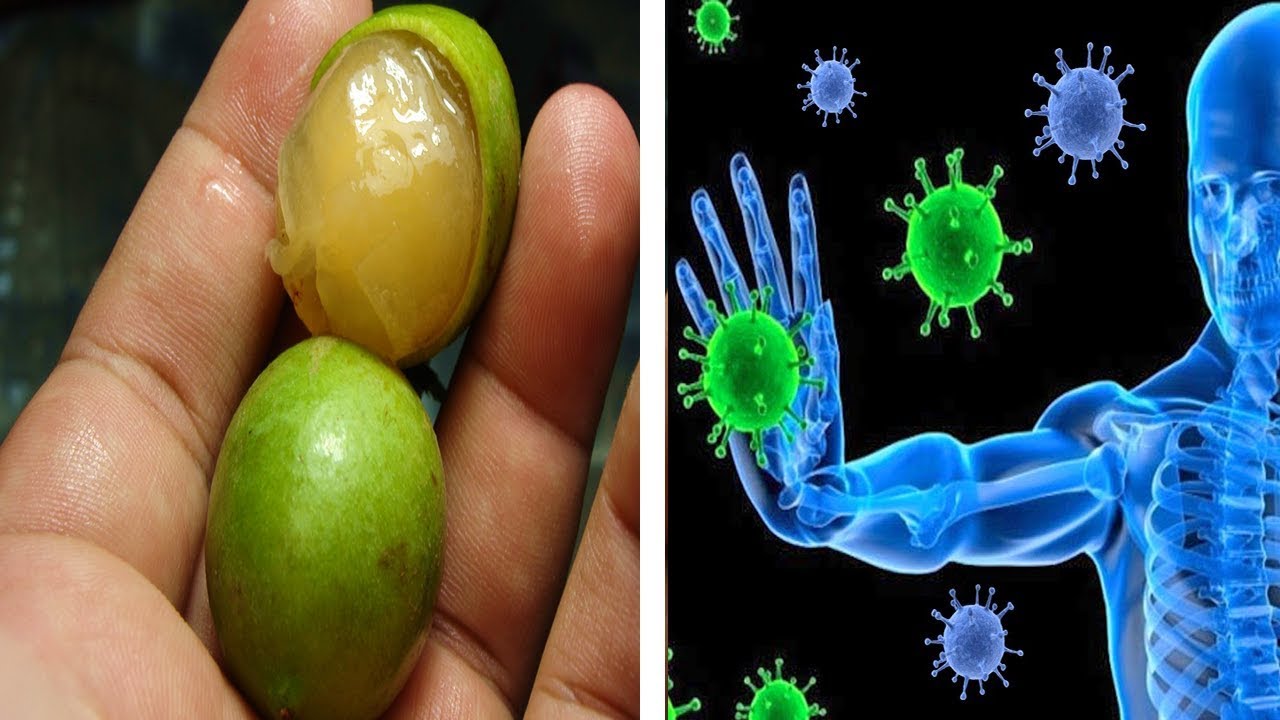 Health Benefits of Guinep | Lower Blood Pressure - YouTube