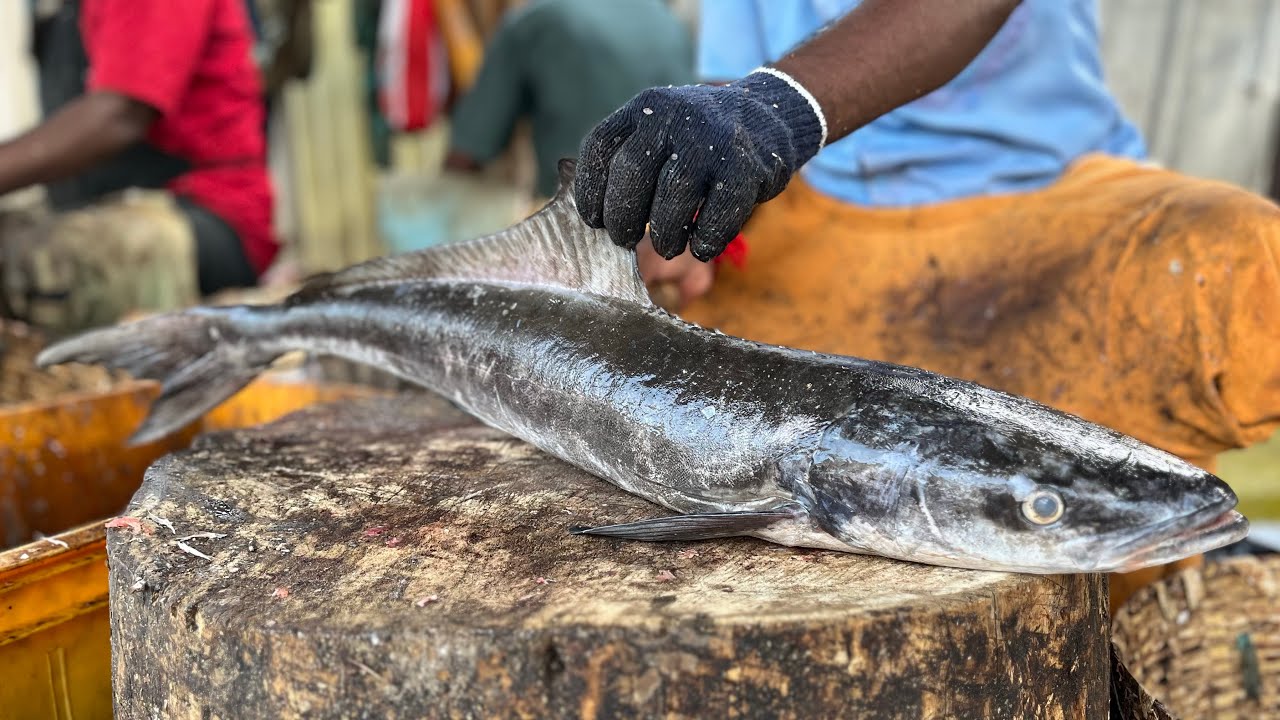 KADAL VIRAL FISH 🐟 CUTTING IN KASIMEDU FISH MARKET 🏖️🌊 - YouTube