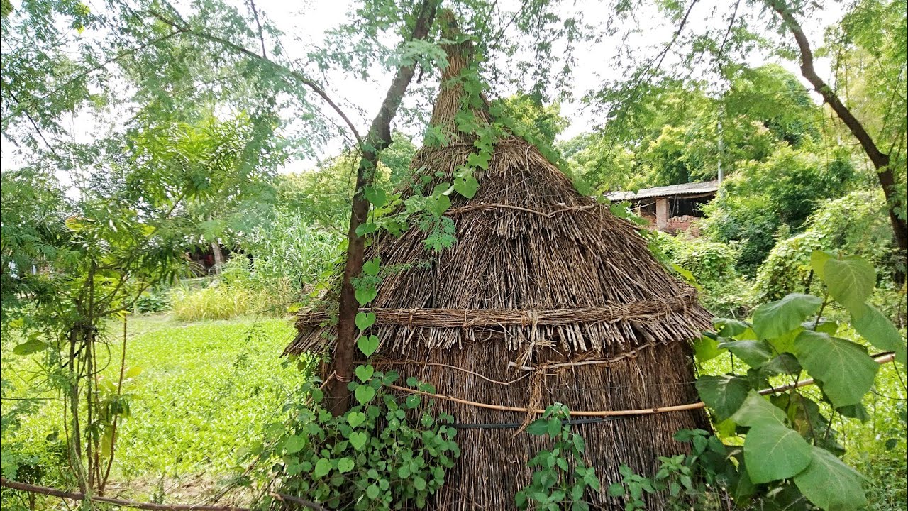 Uttar Pradesh (India) Gaon-4 U.P. (India) Village Upli House - YouTube