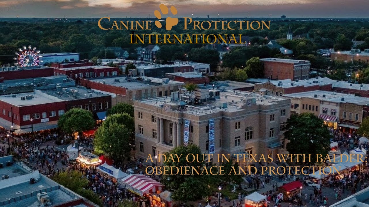 Canine Protection International: CPI Dog and Handler Out in Public ...