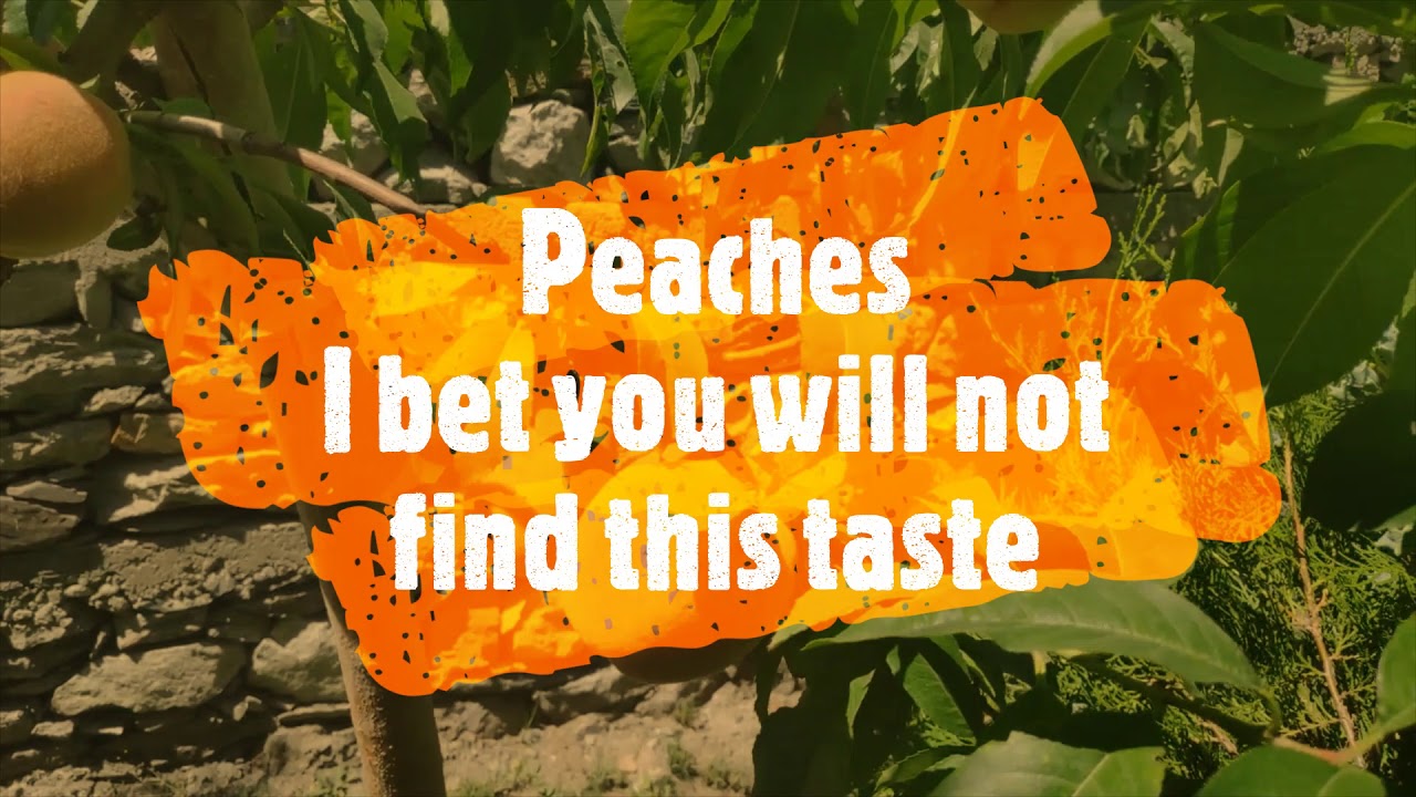 Brep is a small village 142 KM away from Chitral Town - YouTube