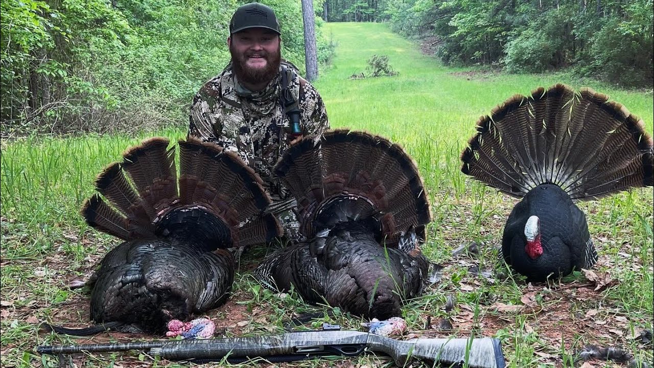 Eastern Turkey Hunting in Kentucky and Alabama - YouTube