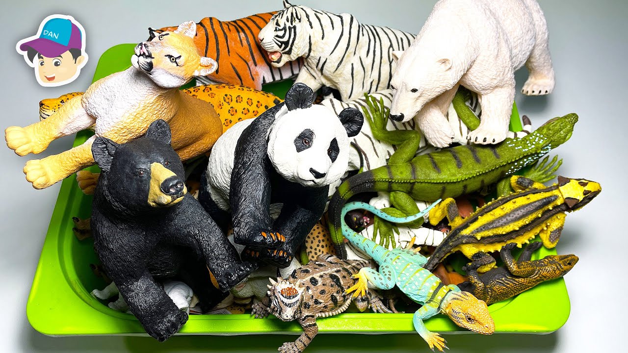 A Box of Cats, Bears and Lizards - Tiger Lion Cheetah Polar Bear Panda ...