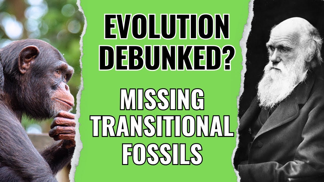 Evolution's Missing Link: The Lack of Transitional Fossils - YouTube