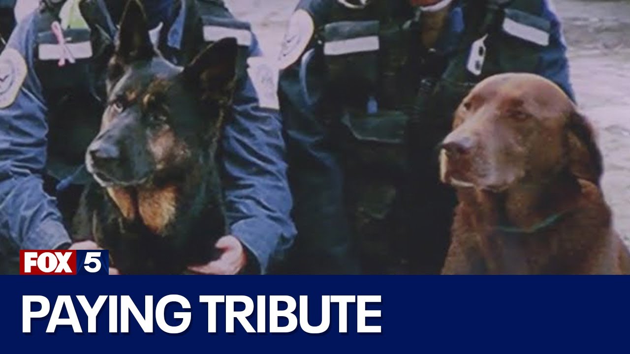 Ceremony pays tribute to 9/11 K-9 hero - YouTube