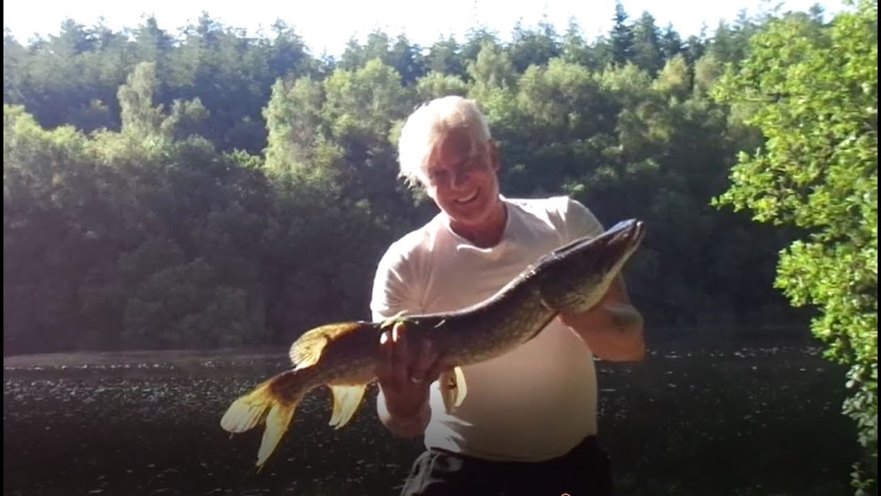 Pike Fishing Ledger Weight Rig - Complete Setup & Tips - YouTube