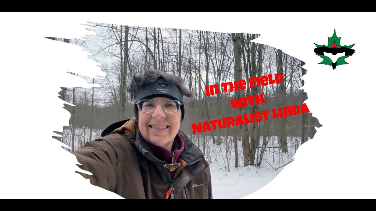 Real Tapper! - YouTube