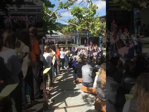 Mark Day School Profile (2018-19) | San Rafael, CA