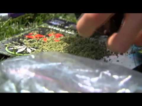 Denver Activists Mark Pot Holiday with Smoke-Out