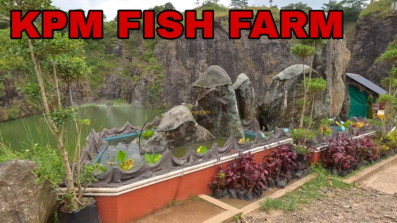 KPMലെ കാഴ്ചകൾ KPM FISH FARM UPPUTHARA - YouTube