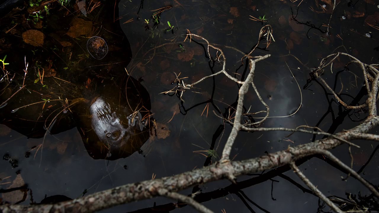 Trusties - A Dream I Never Had (lyrics video) - YouTube