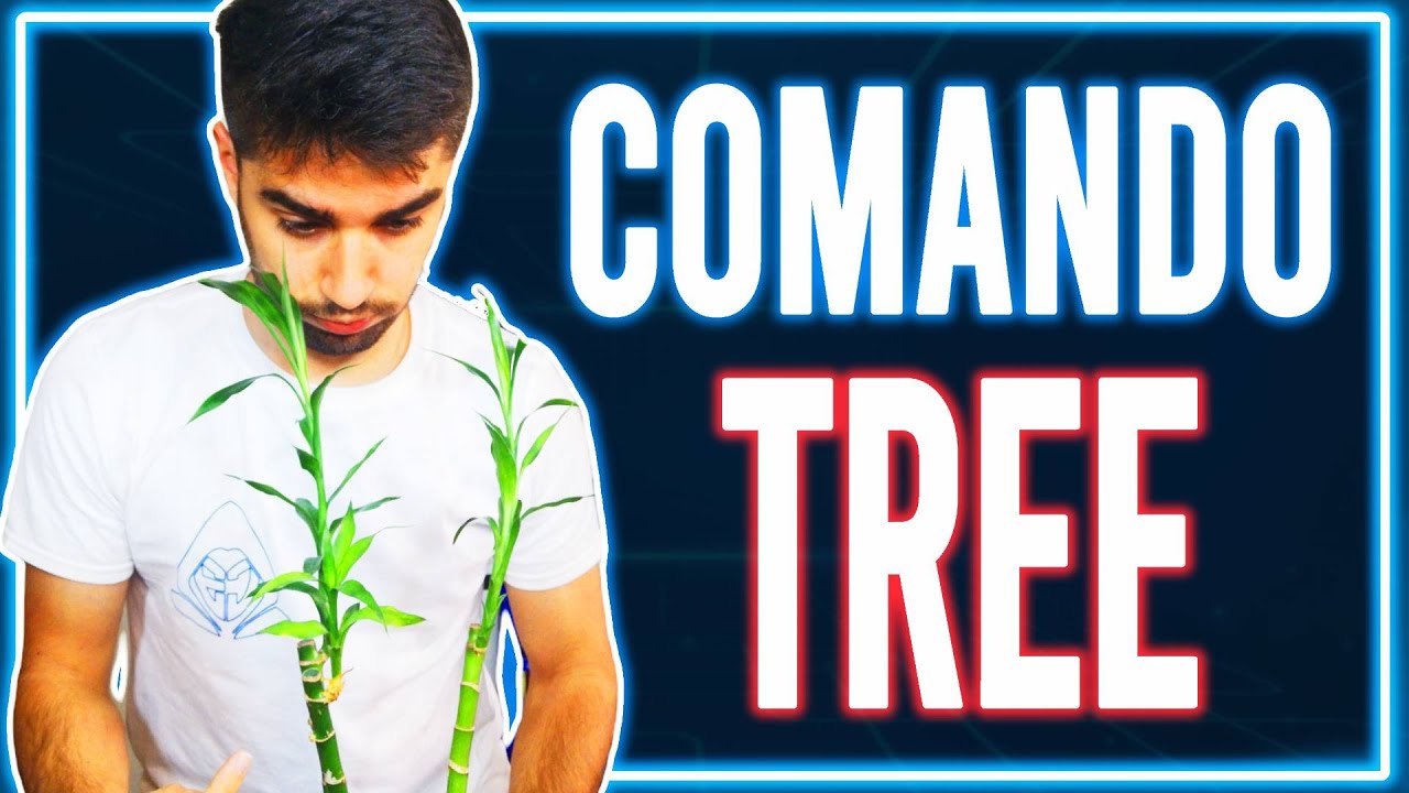 Cómo Crear un ÁRBOL y Estructura de Directorios en LINUX - Comando TREE 🌳 - YouTube