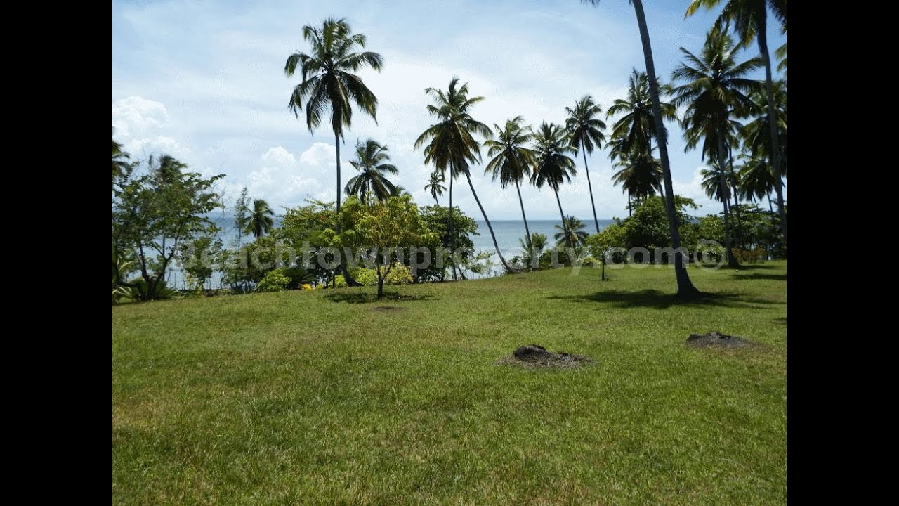 L1759DB Samana Beachfront land Dominican Republic - YouTube