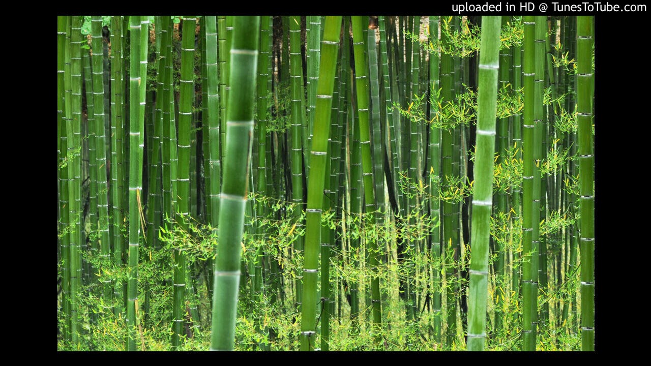 Bamboo mandela - YouTube