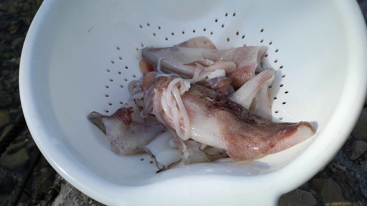 Kako očistimo male morske ribe - YouTube