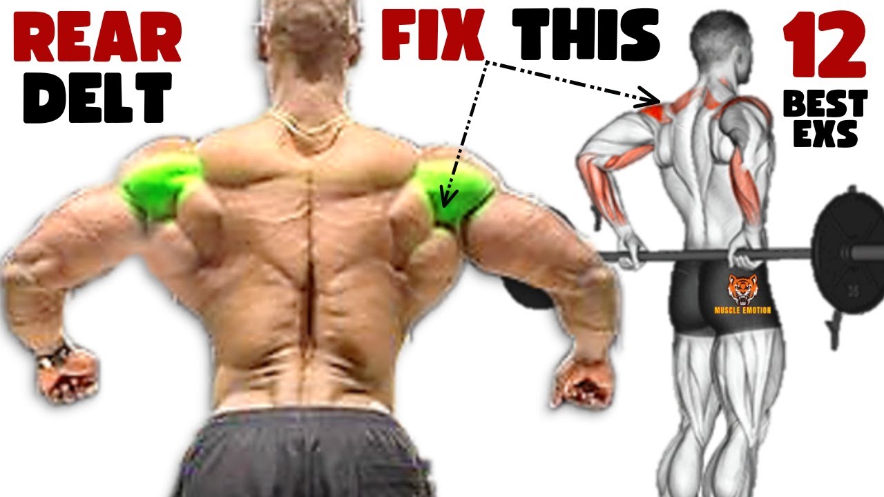 12 BEST REAR SHOULDERS WORKOUT WITH BARBELL DUMBELLS AND CABLE - YouTube