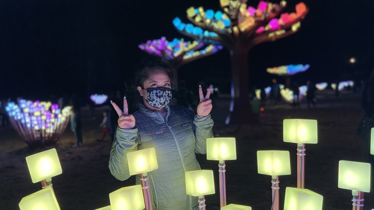 Entwined Light Show at Golden Gate Park - Guide on where to park! - YouTube